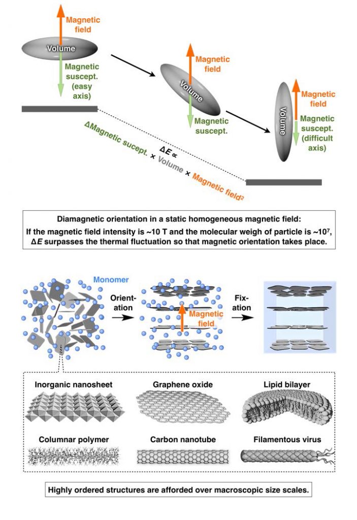 Emergent Bioinspired Soft Matter Research Team | RIKEN Center for ...
